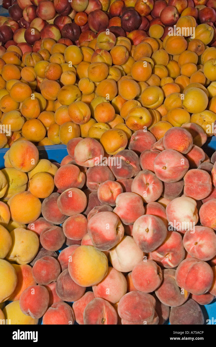 Box full of peaches and nectarines near Alexandra South Island New ...