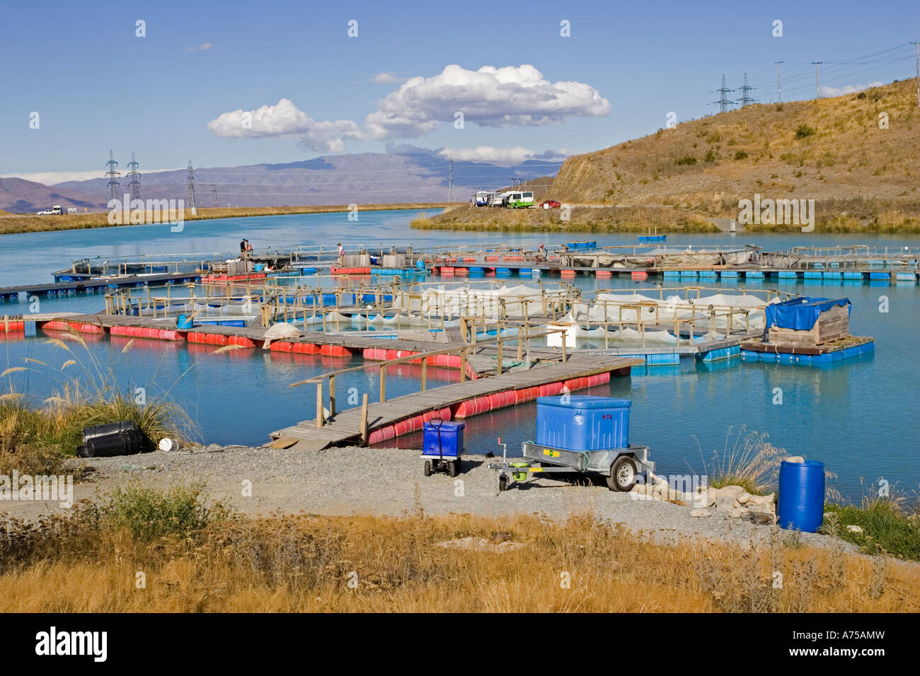 Salmon farming at High Country Salmon near Twizel with roadside shop ...