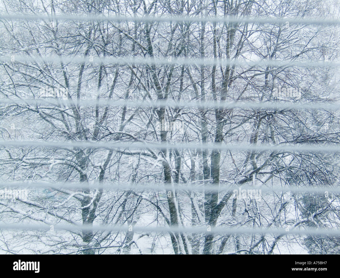 Snowstorm seen through window with venetian blinds Stock Photo - Alamy