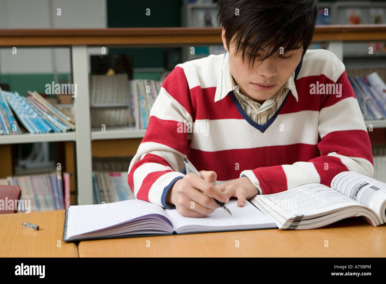 Male student studying Stock Photo - Alamy