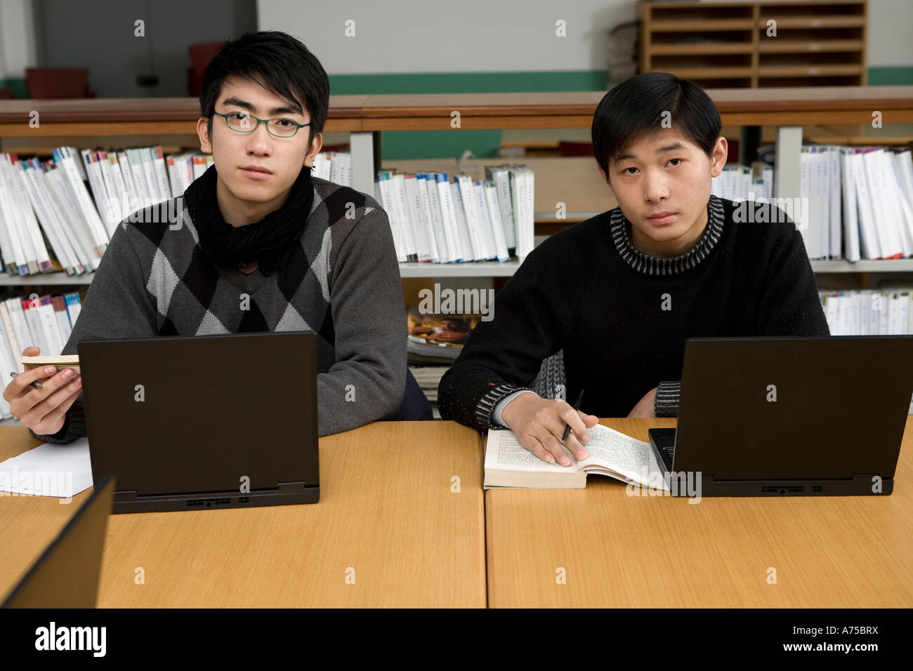Male students studying Stock Photo - Alamy