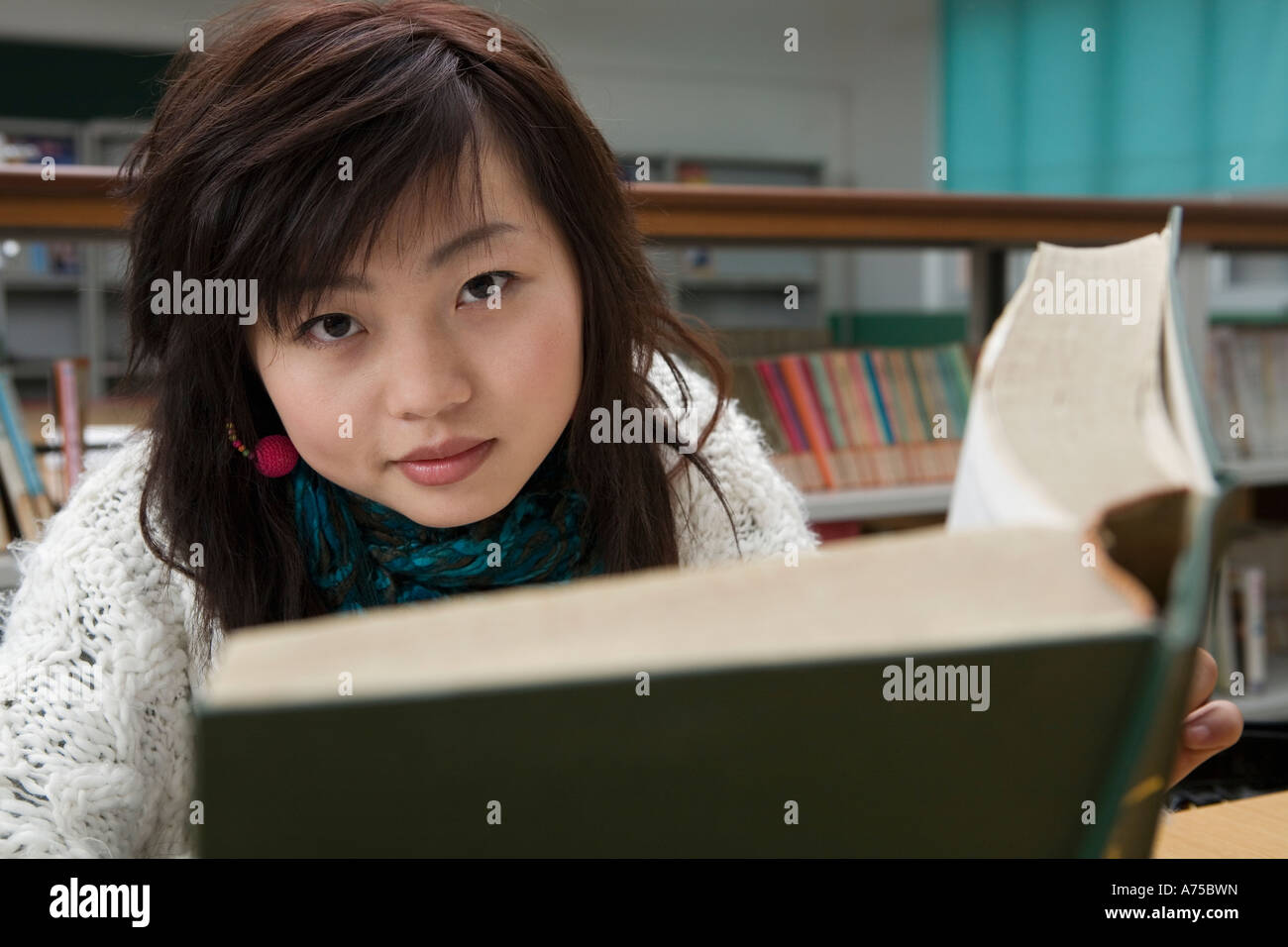 Female student studying Stock Photo - Alamy