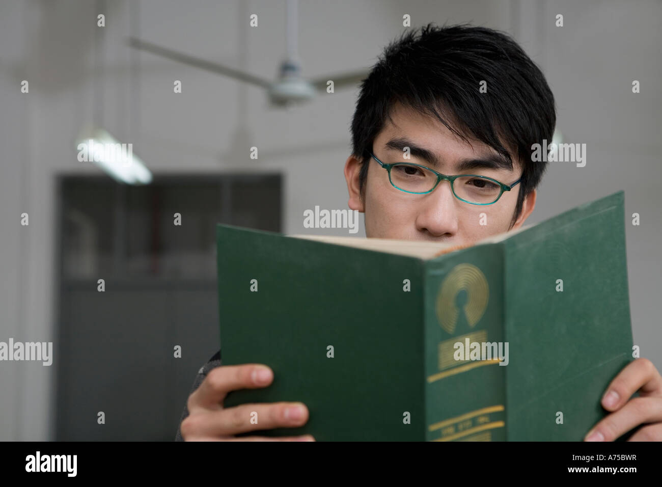 Male student studying Stock Photo - Alamy