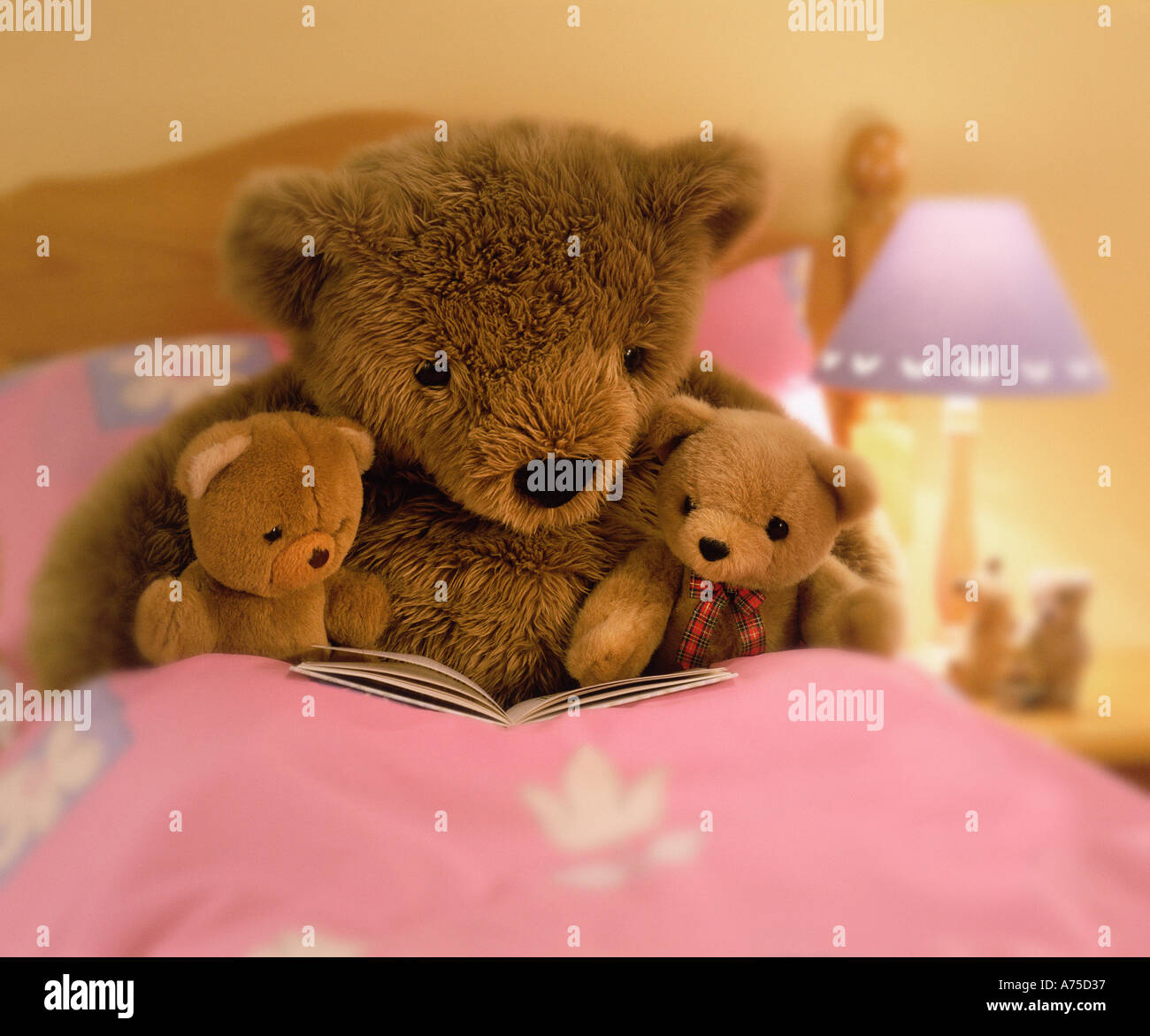 Bears having a bedtime story Stock Photo - Alamy