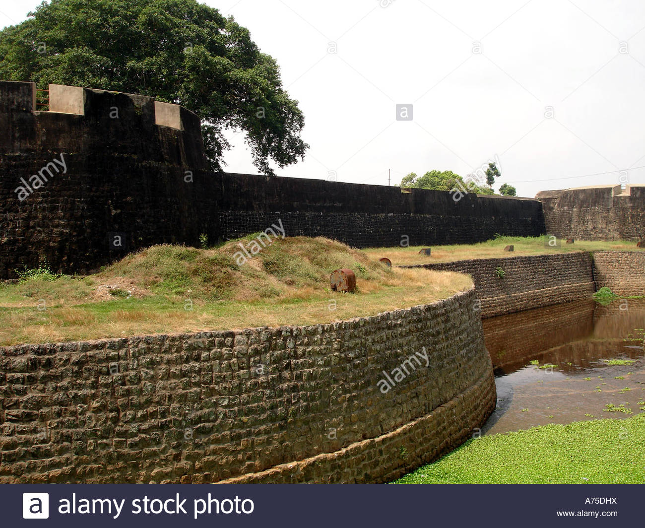 Tippu Sultan Stock Photos & Tippu Sultan Stock Images - Alamy