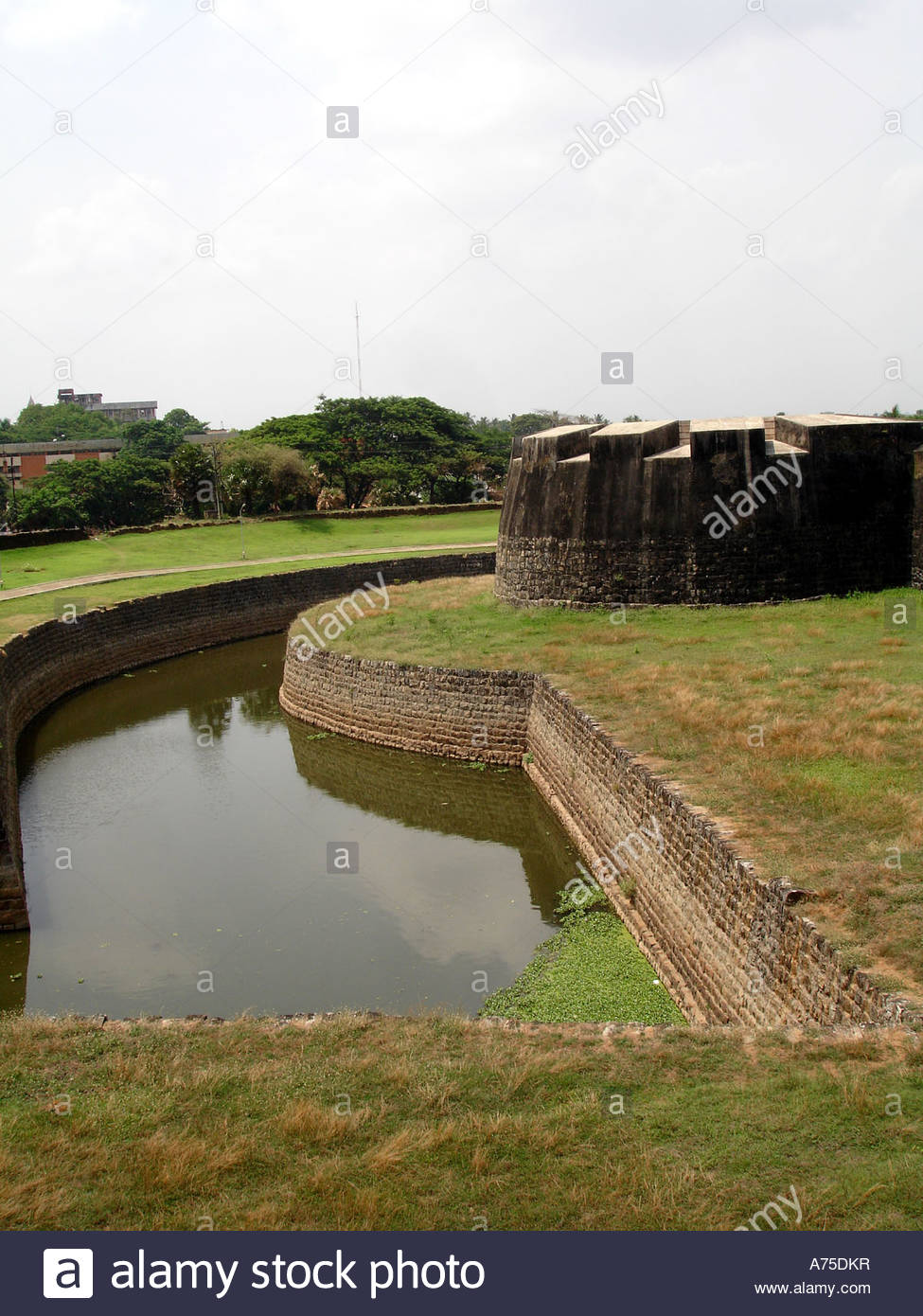Tippu Stock Photos & Tippu Stock Images - Alamy