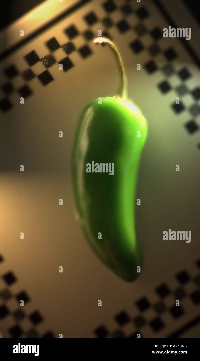Single Chile Pepper on modern dish Stock Photo - Alamy
