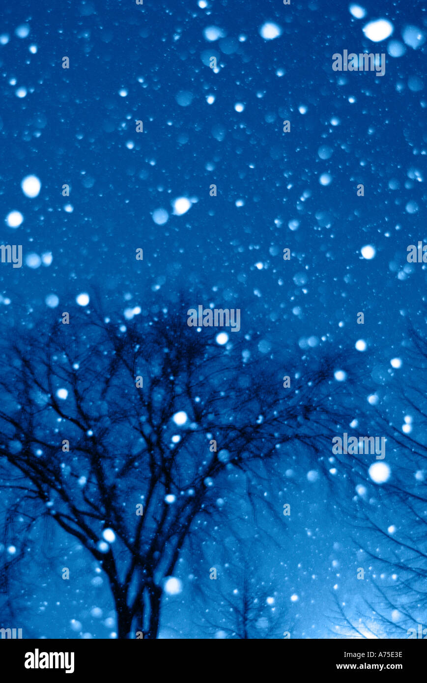 Snow falling during a winter storm Stock Photo - Alamy