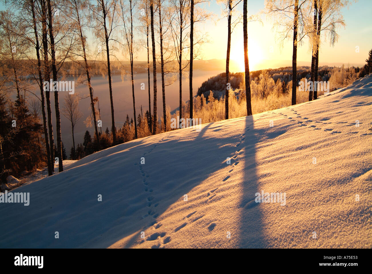 Winter view over lake Fryken in rural Varmland Sweden Stock Photo - Alamy