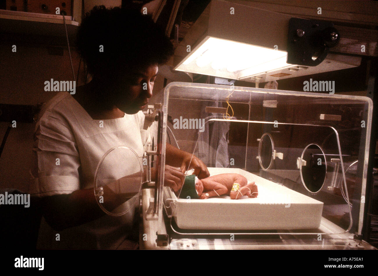 Premature baby unit in London hospital Stock Photo - Alamy