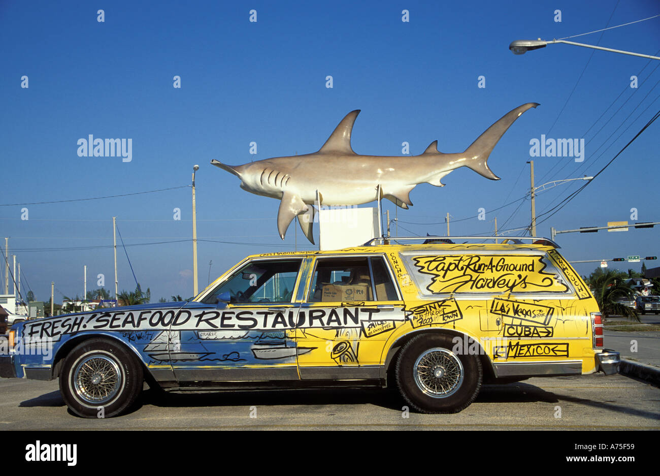 Shark advert on car in Florida Stock Photo - Alamy