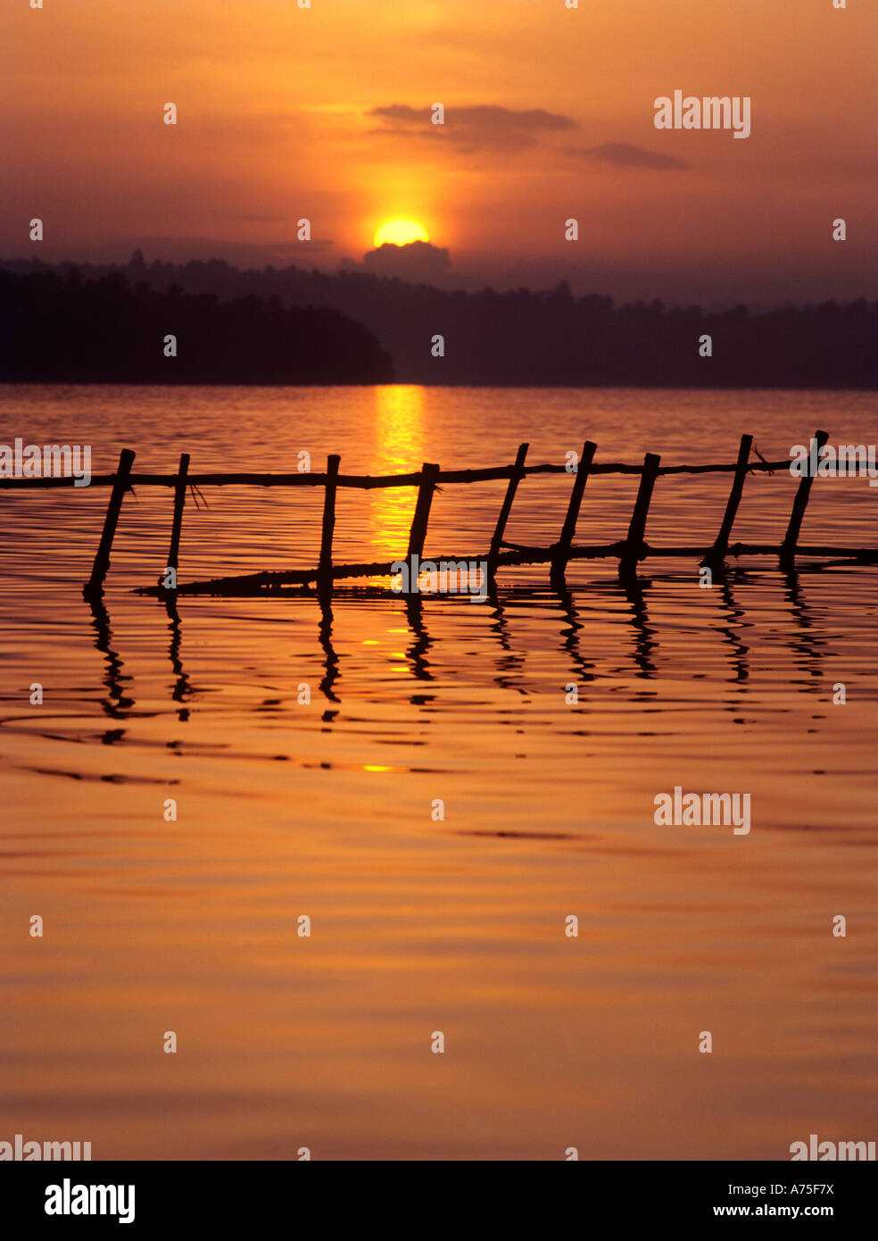 VELLIMON NEAR QUILON KERALA Stock Photo - Alamy
