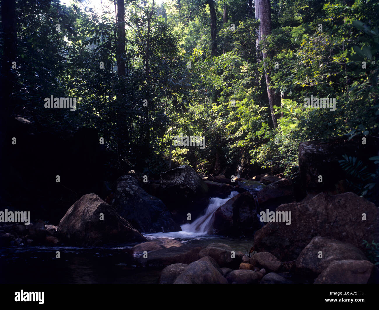 NEYYAR WILDLIFE SANCTUARY TRIVANDRUM KERALA Stock Photo - Alamy