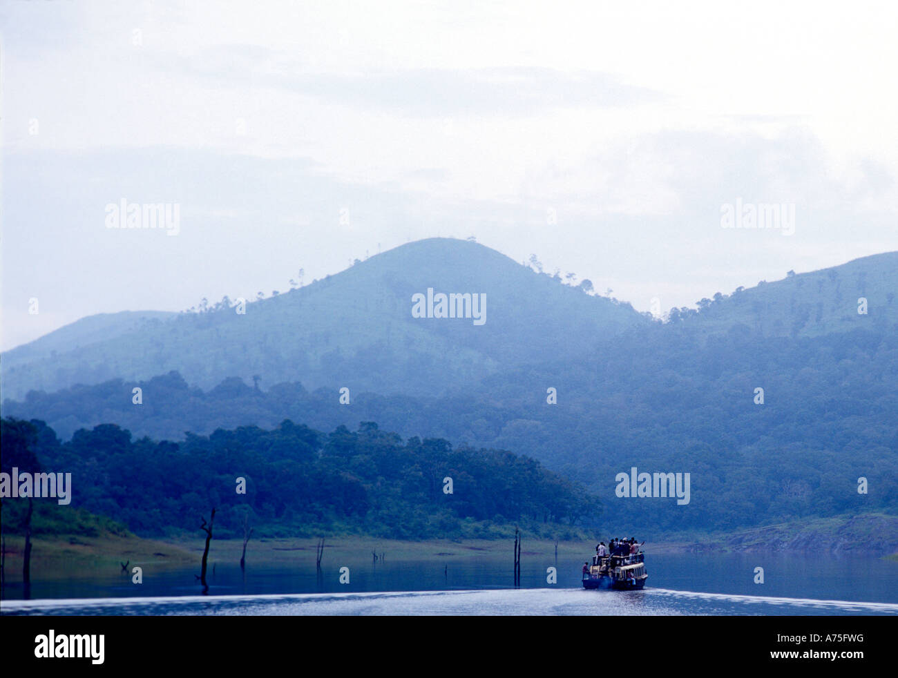 PERIYAR TIGER RESERVE THEKKADY KERALA Stock Photo - Alamy