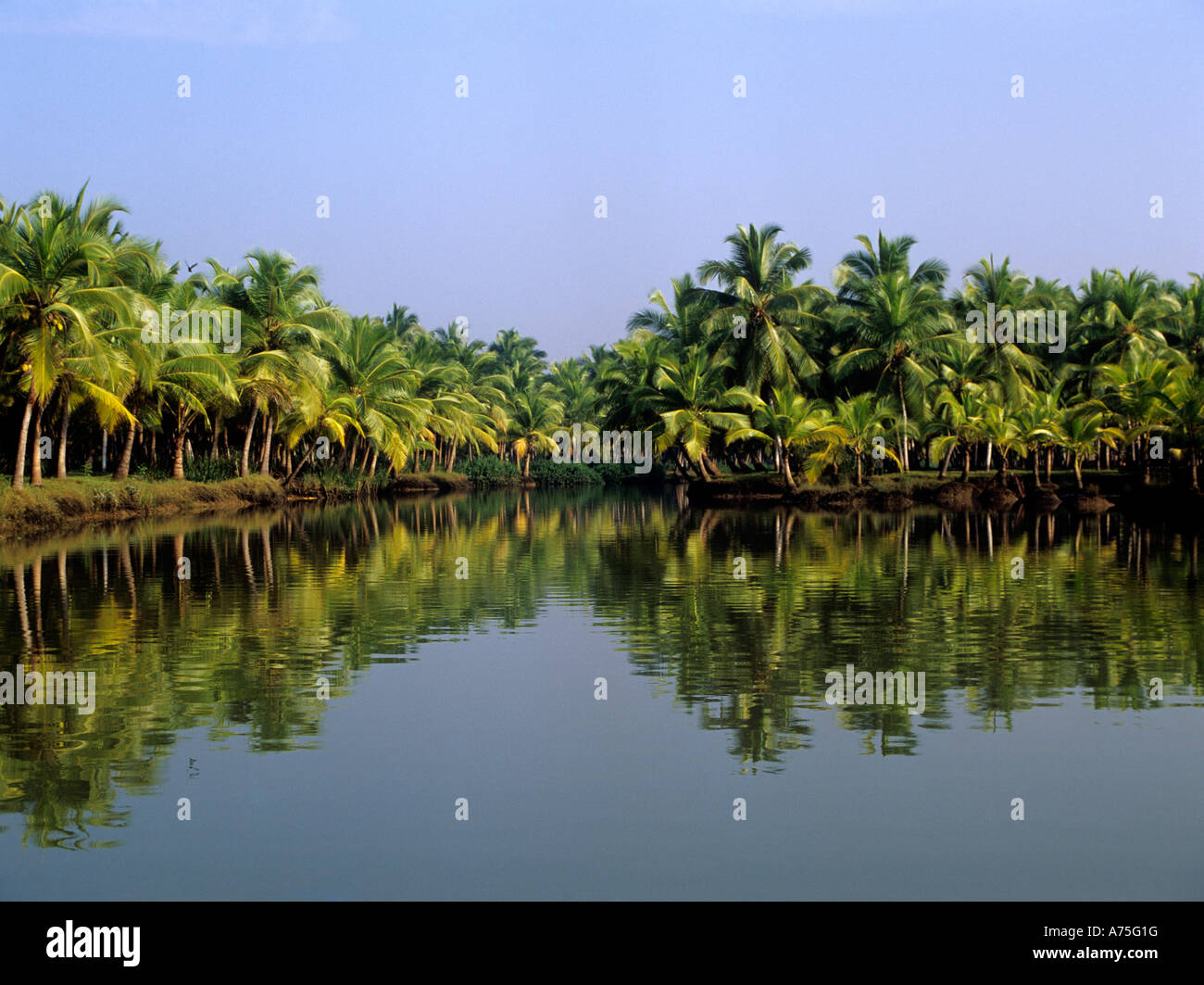 BACKWATERS OF POOVAR TRIVANDRUM Stock Photo - Alamy