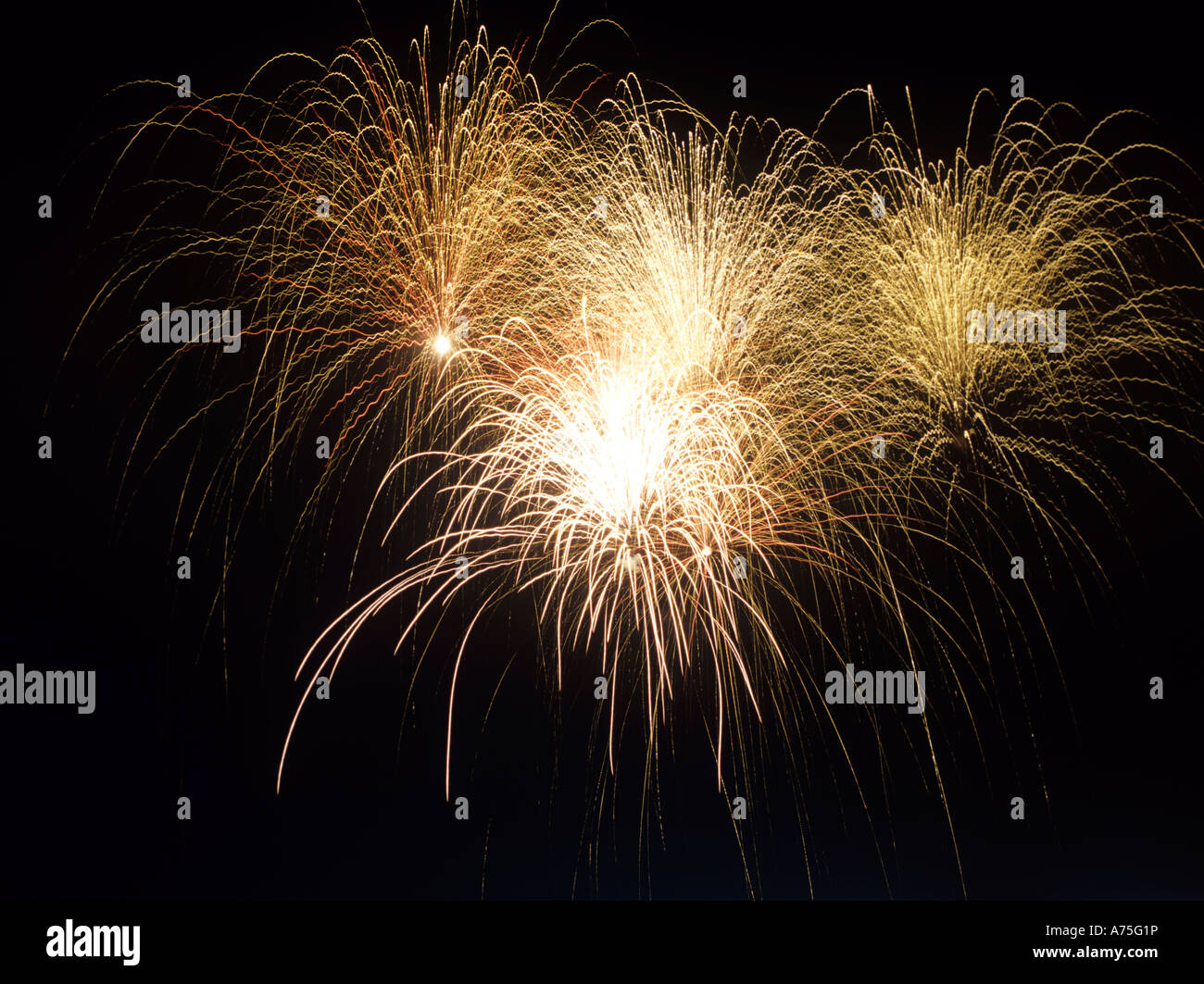 Thrissur Pooram Fire Works