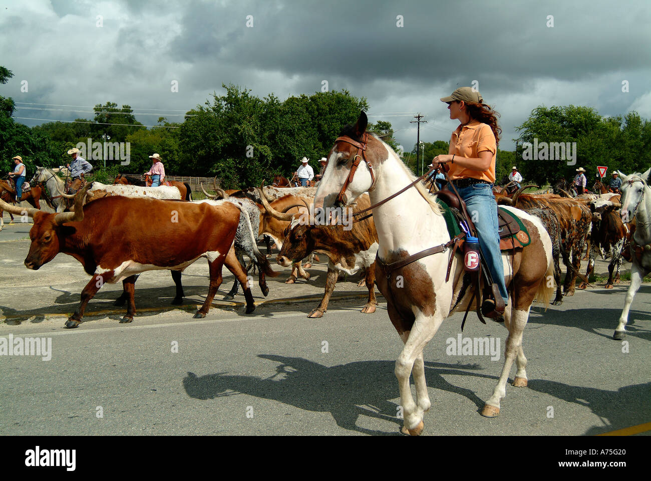 Bandera texas cowboys hi-res stock photography and images - Alamy