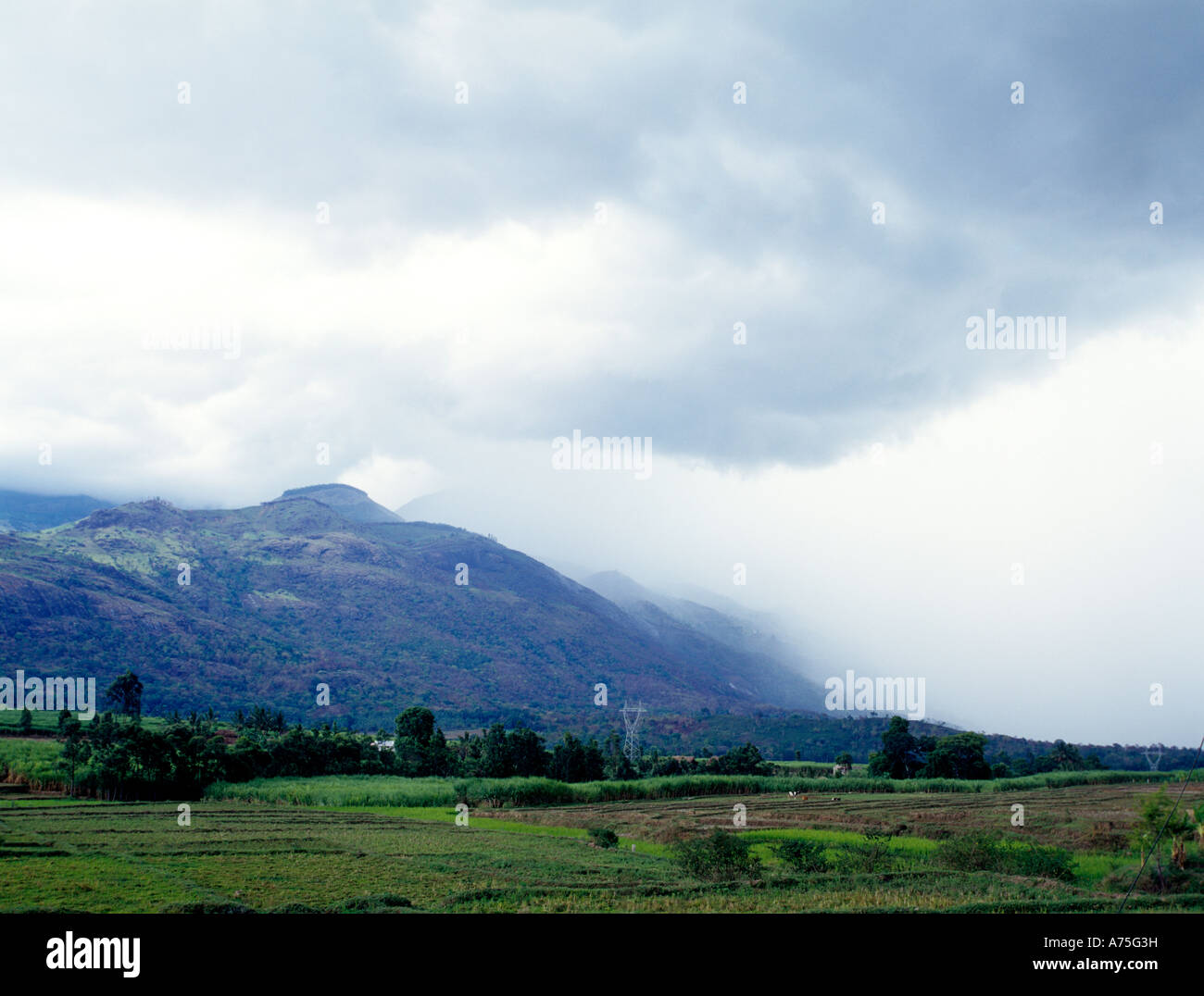 Marayoor hi-res stock photography and images - Alamy