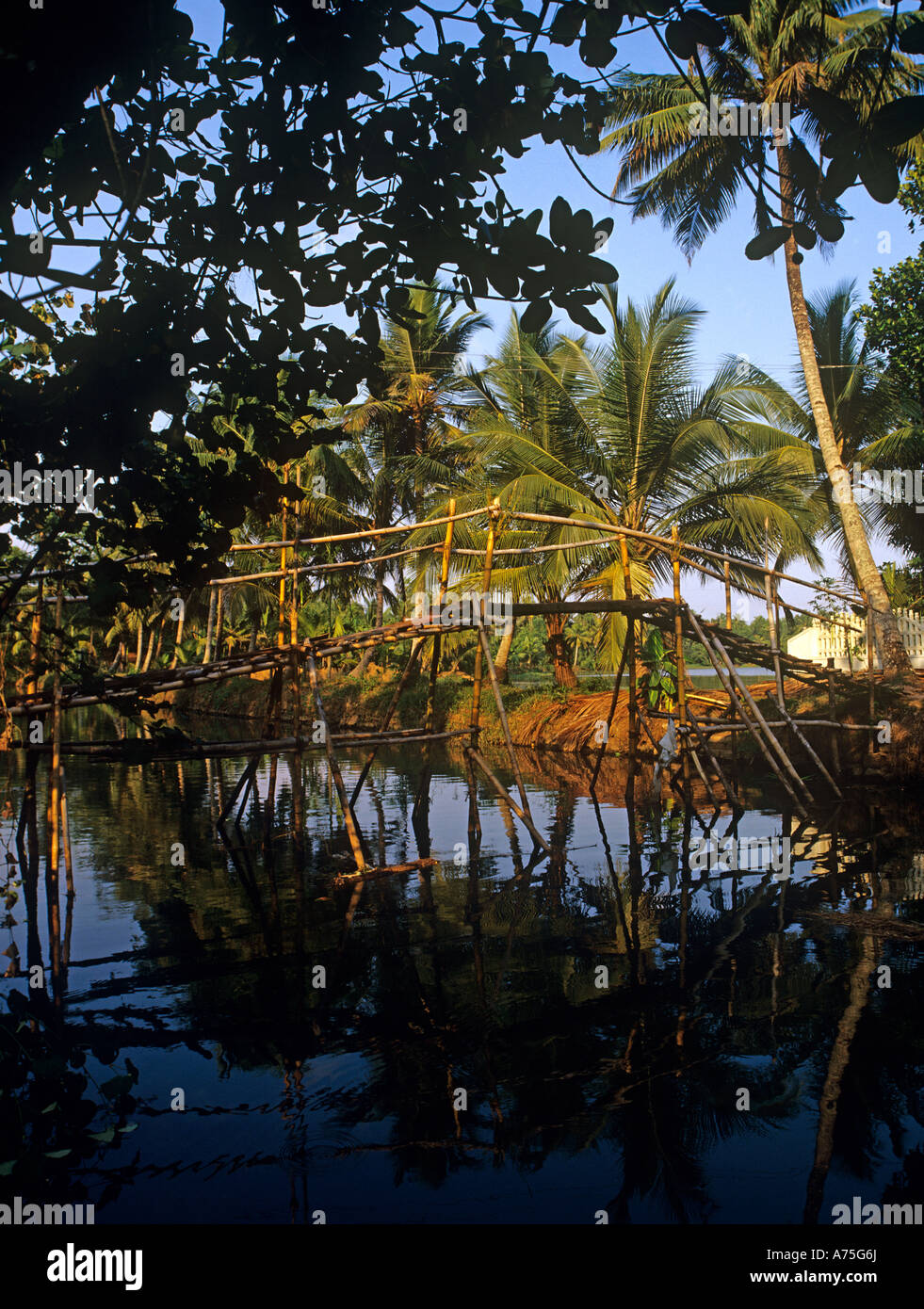 BACKWATERS OF KAVALAM IN ALLEPPEY KERALA Stock Photo - Alamy