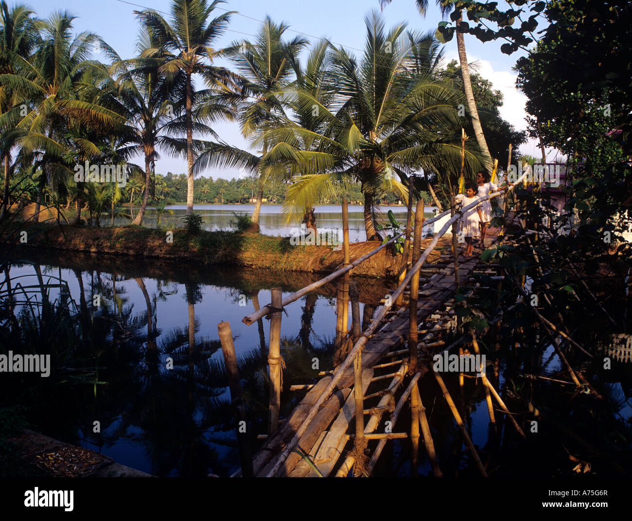 BACKWATERS OF KAVALAM IN ALLEPPEY KERALA Stock Photo - Alamy