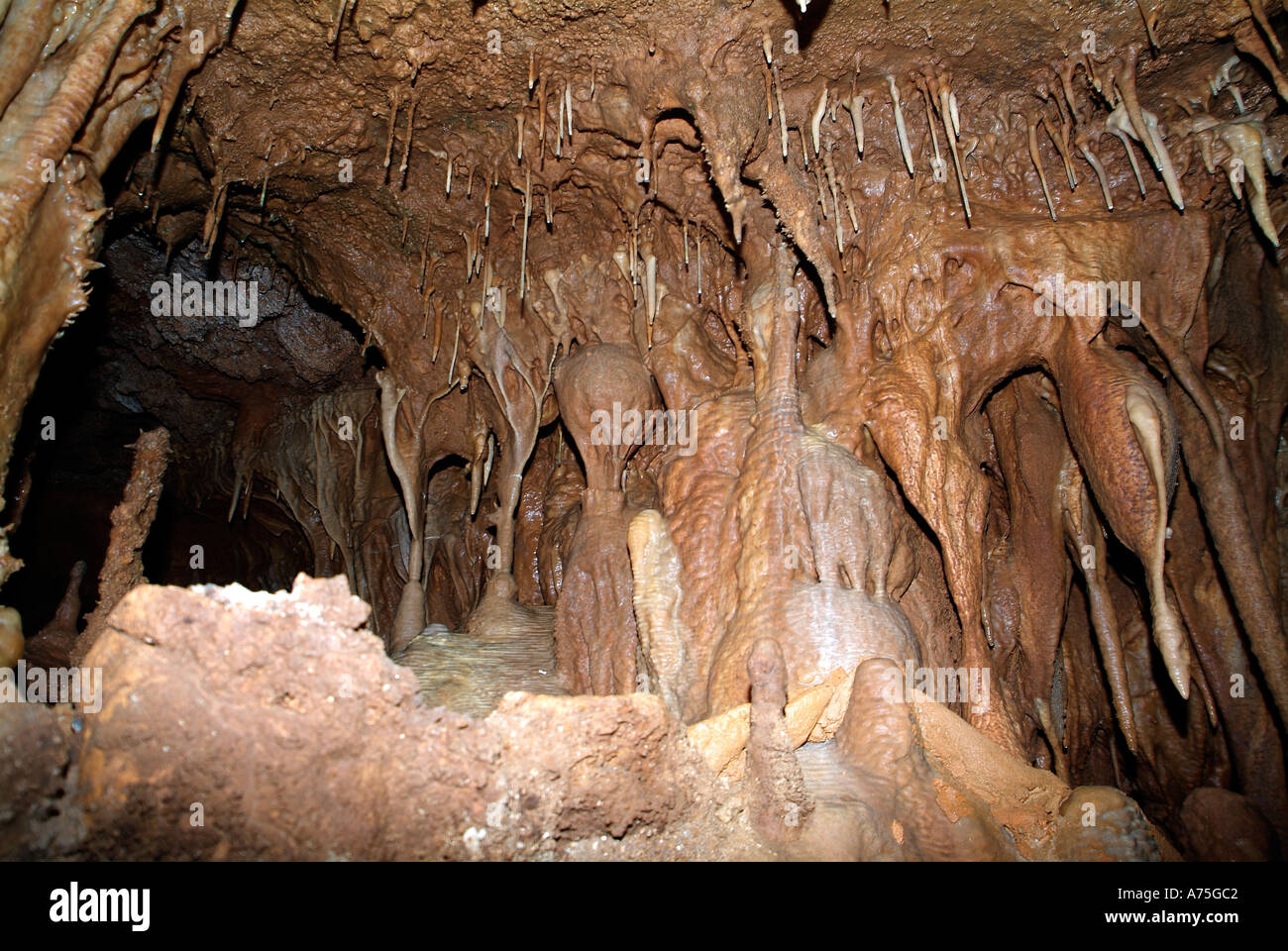 Cave in Austin Texas Stock Photo - Alamy