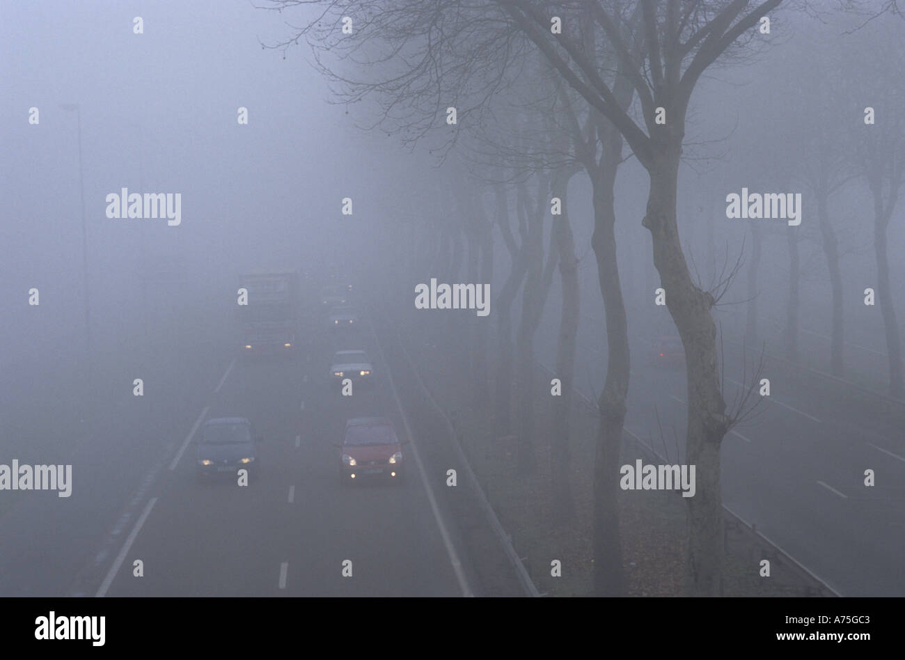 Highway driving in heavy fog traffic Stock Photo - Alamy