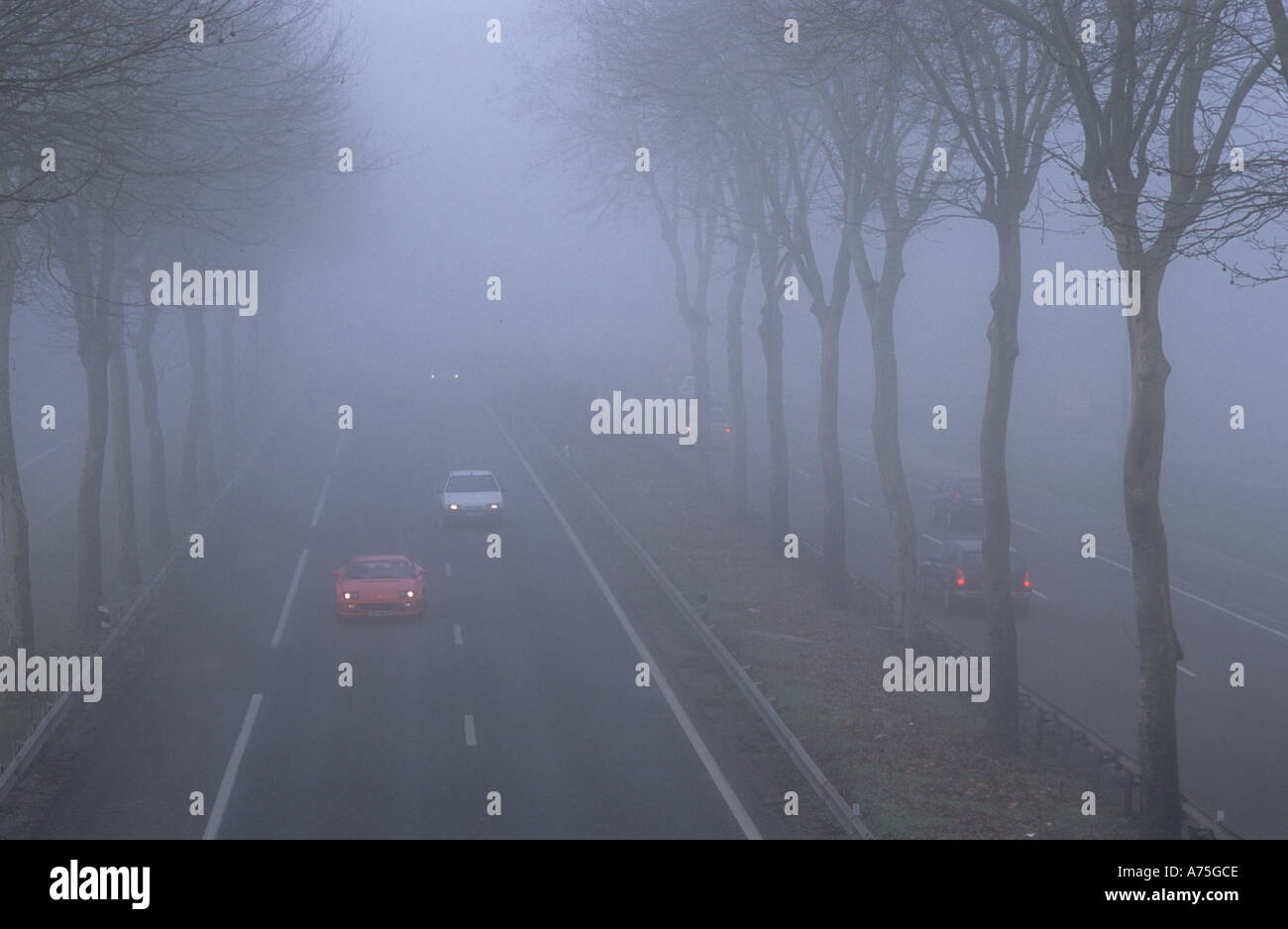 Highway driving in heavy fog traffic Stock Photo - Alamy