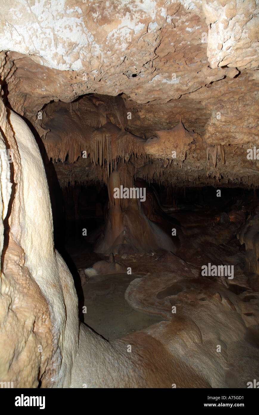 Cave in Austin Texas Stock Photo - Alamy