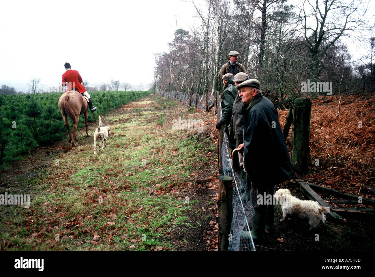 Fox hunt on horse back hi-res stock photography and images - Alamy