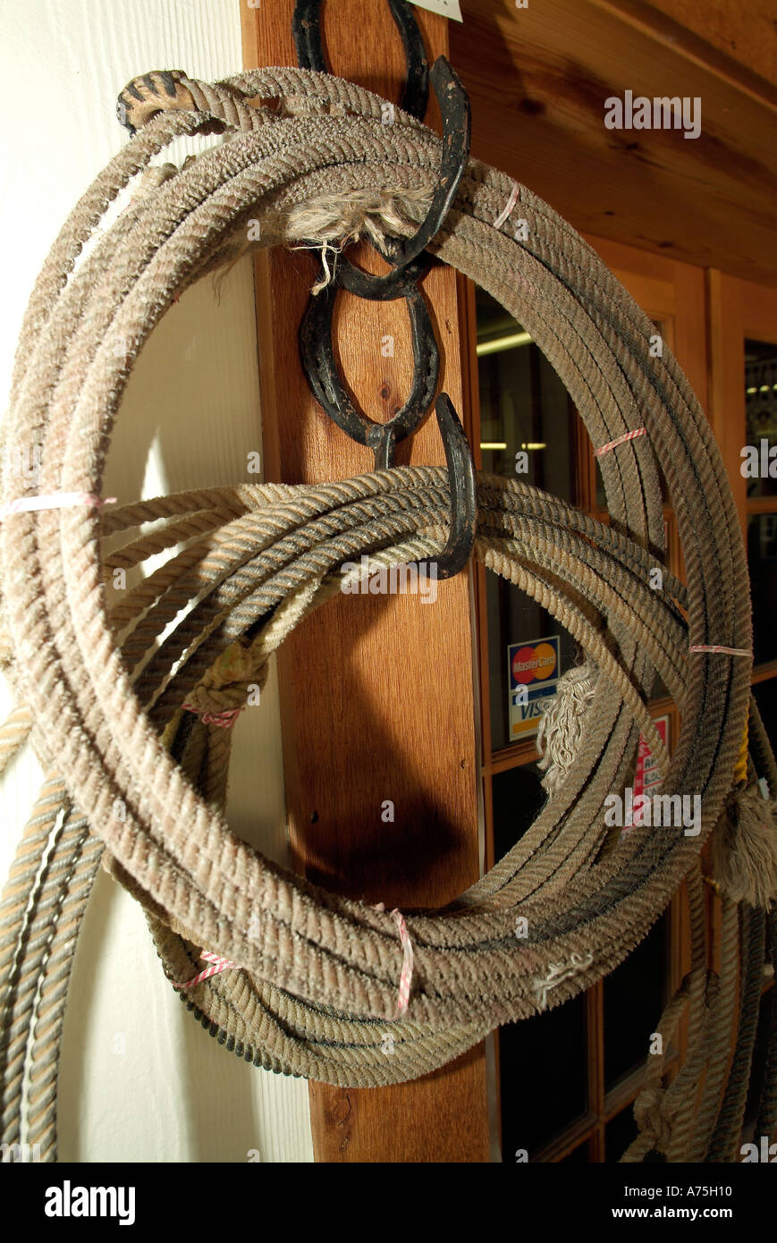 Lassos hi-res stock photography and images - Alamy