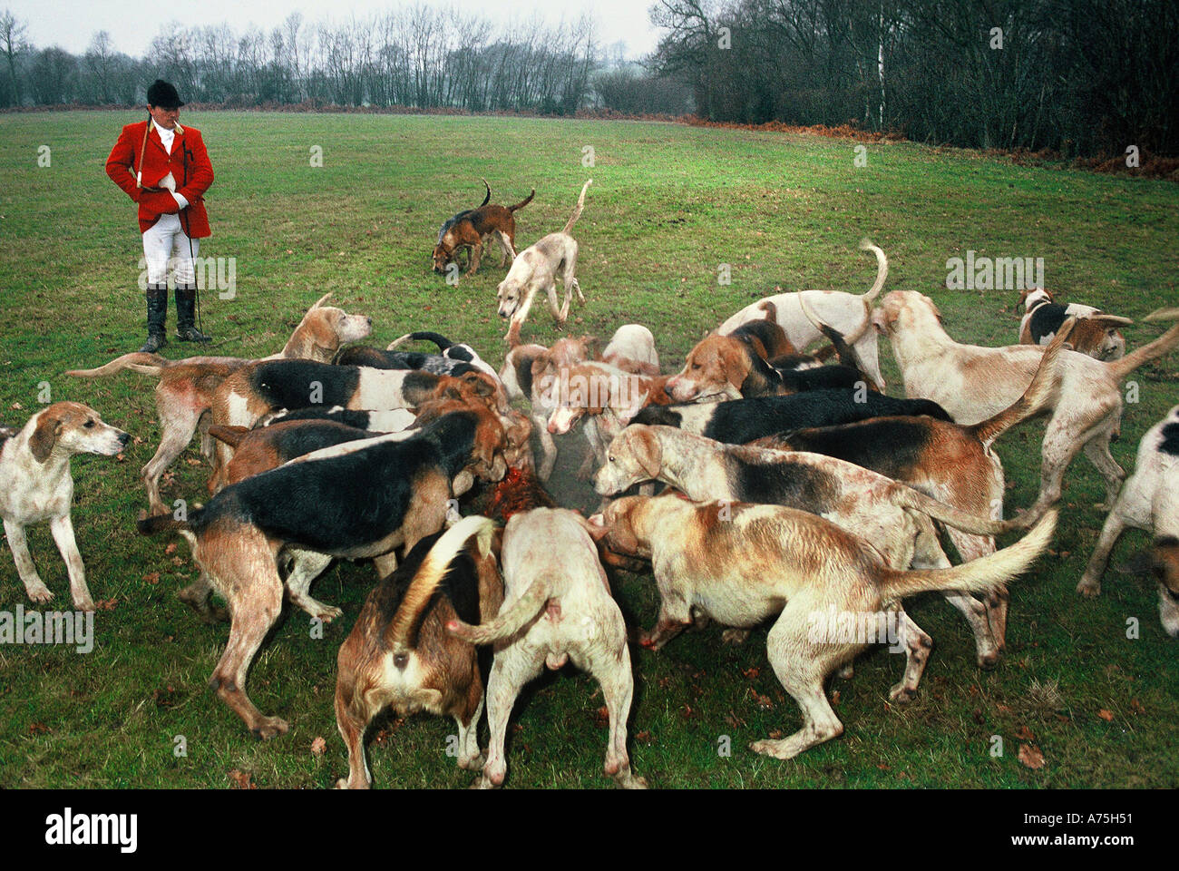 Fox hunt uniform hi-res stock photography and images - Alamy