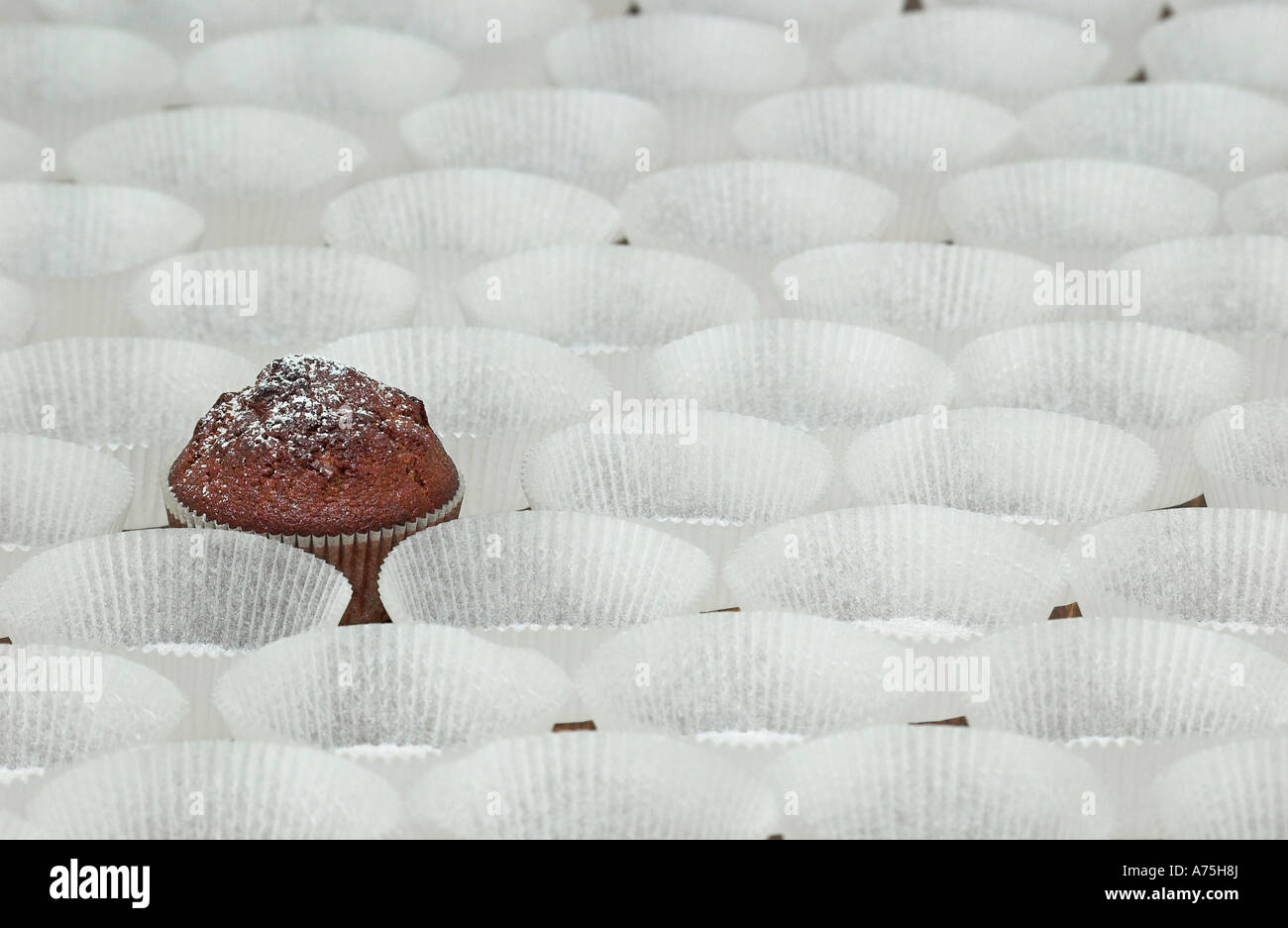 Empty cupcake cases one chocolate muffin full frame Stock Photo - Alamy