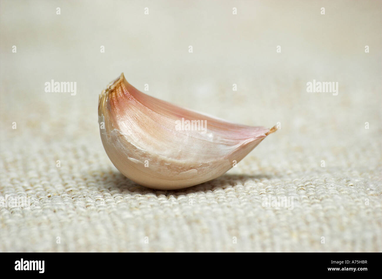 Garlic clove close up Stock Photo - Alamy