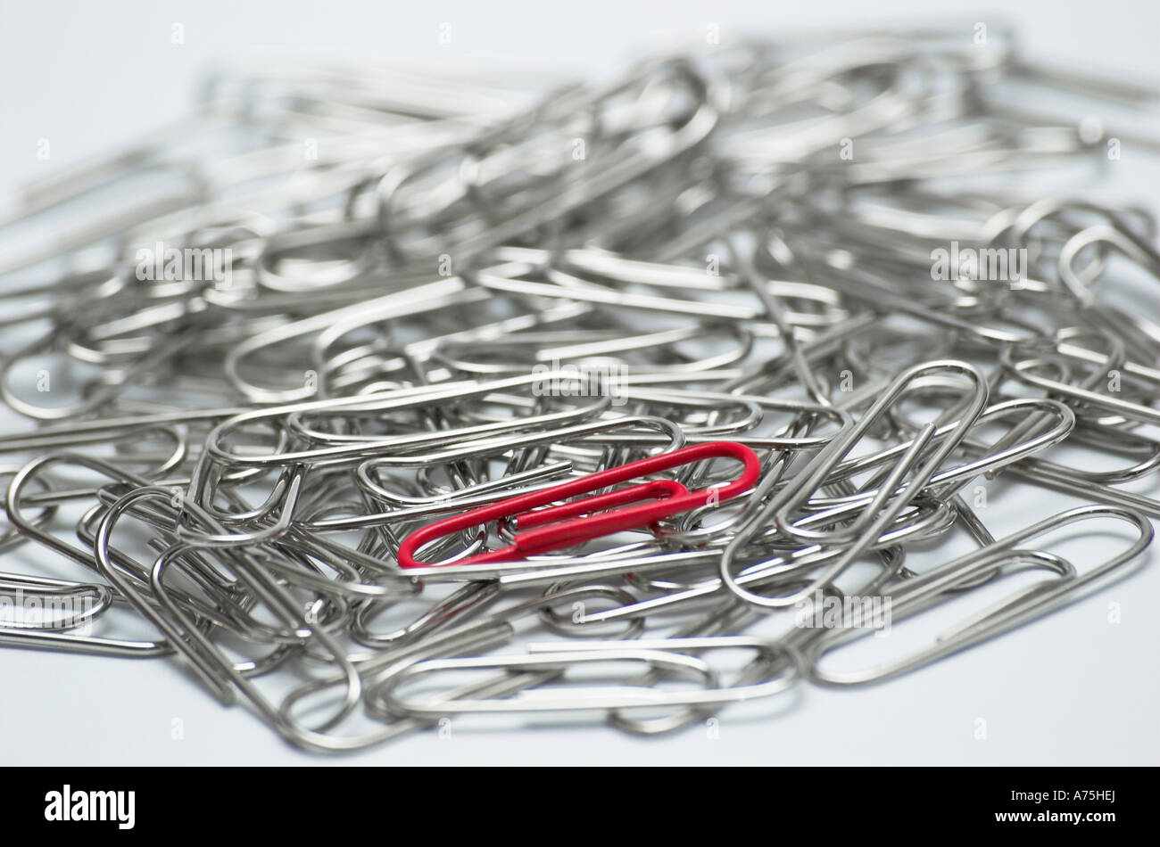 Paper clips one red close up Stock Photo - Alamy