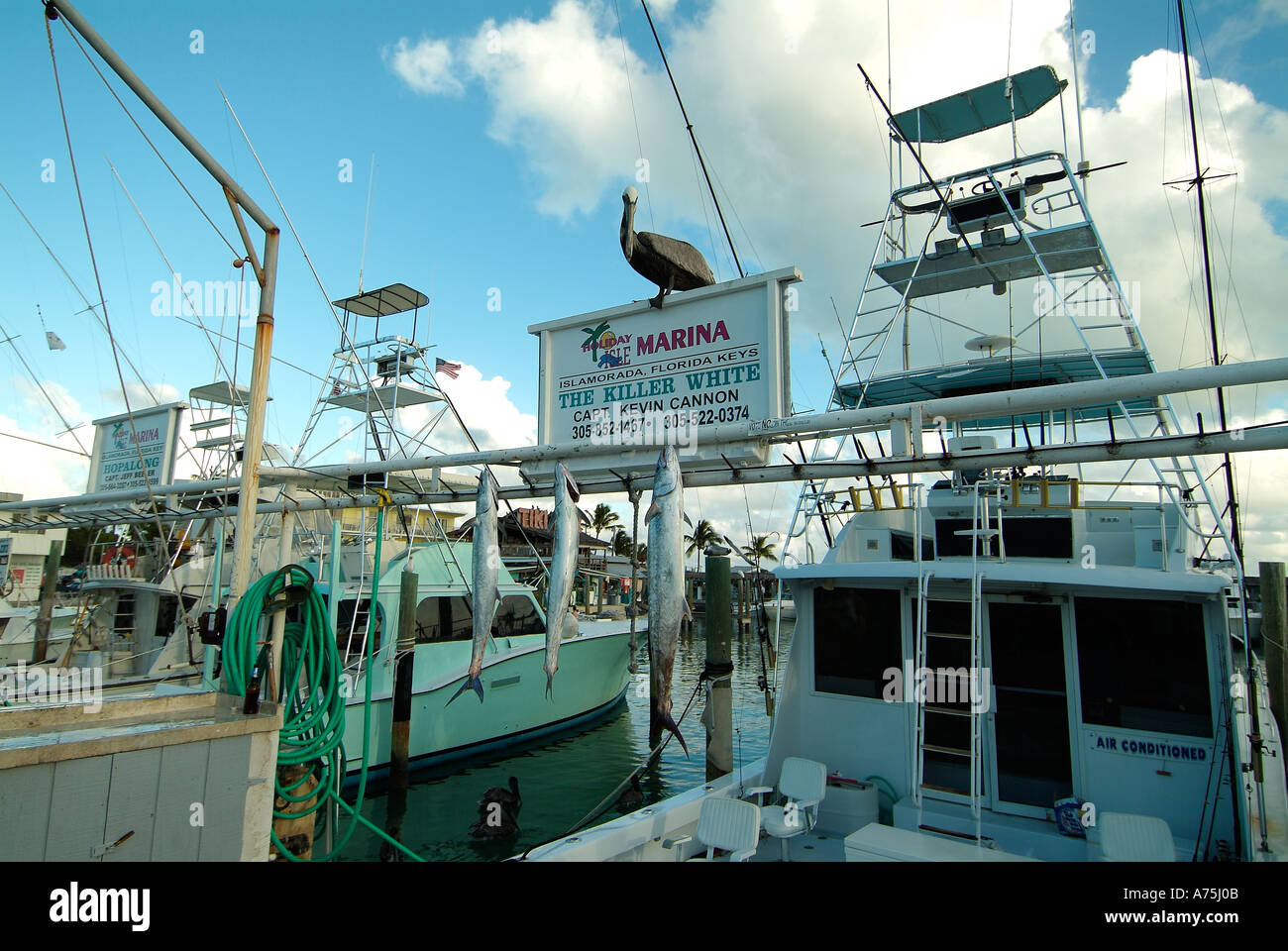 Florida quays hi-res stock photography and images - Alamy