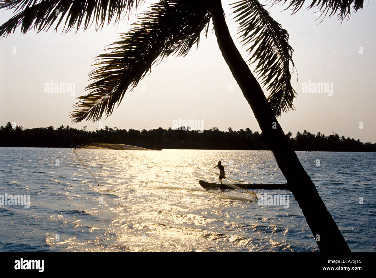 ASHTAMUDI LAKE IN KOLLAM KERALA Stock Photo - Alamy