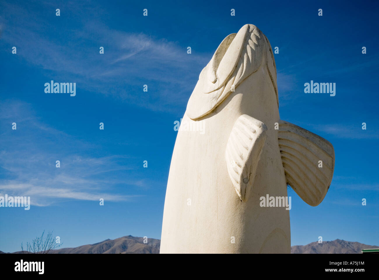 Carved stone fish sculpture in the town of Omarama New Zealands ...