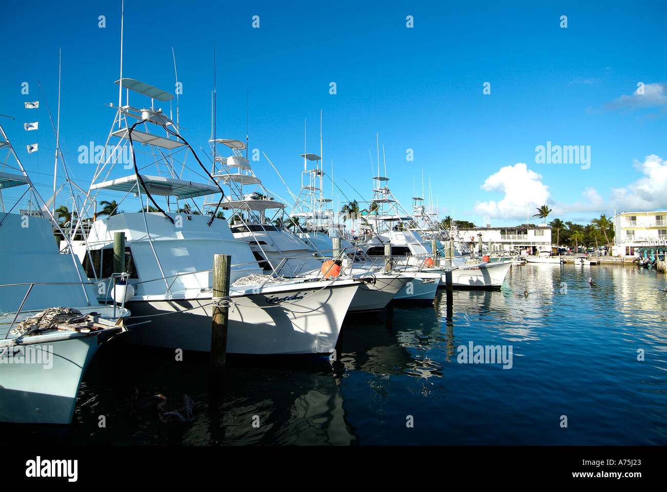 Florida quays hi-res stock photography and images - Alamy