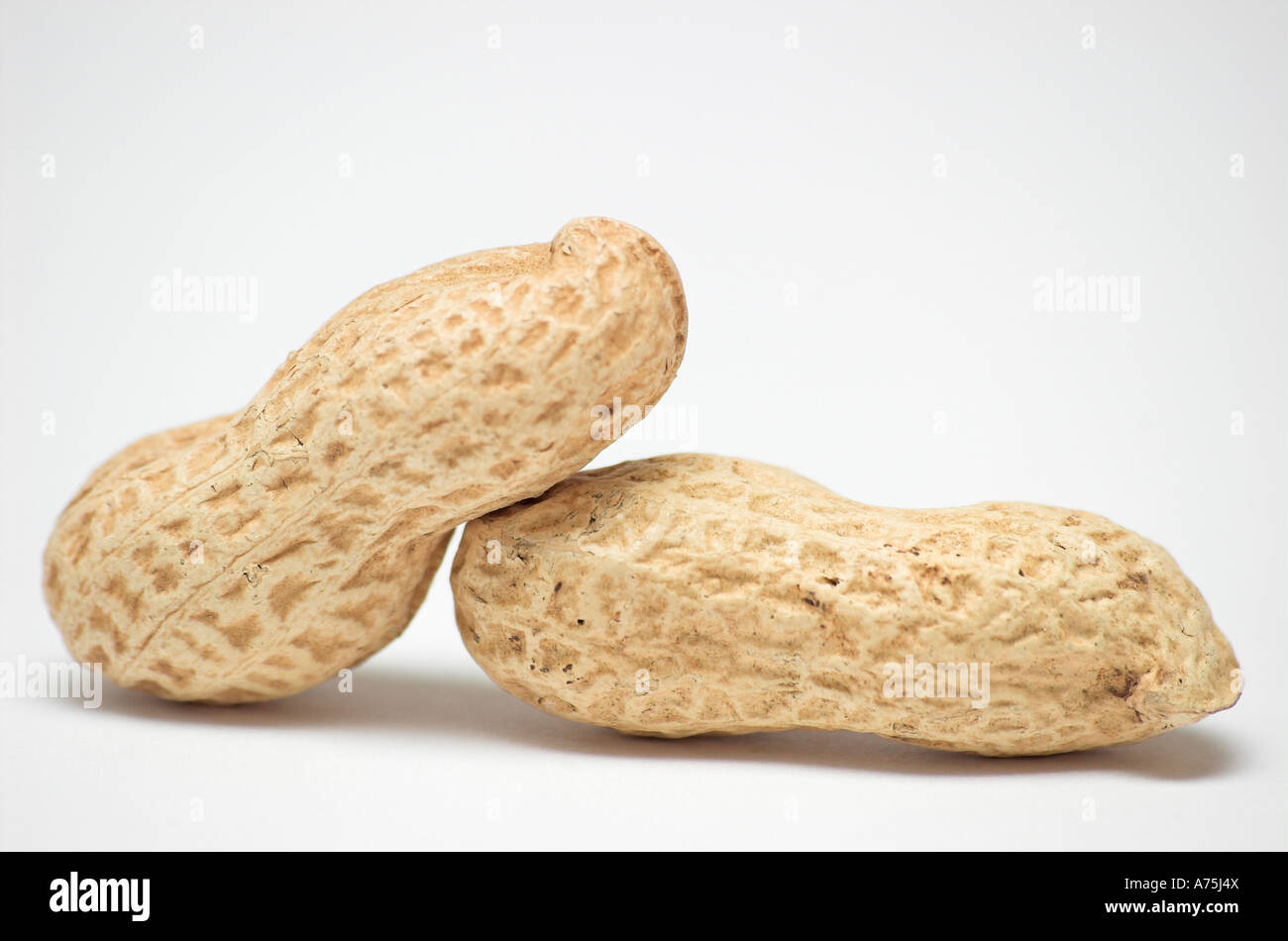 Pair of monkey nuts close up Stock Photo - Alamy