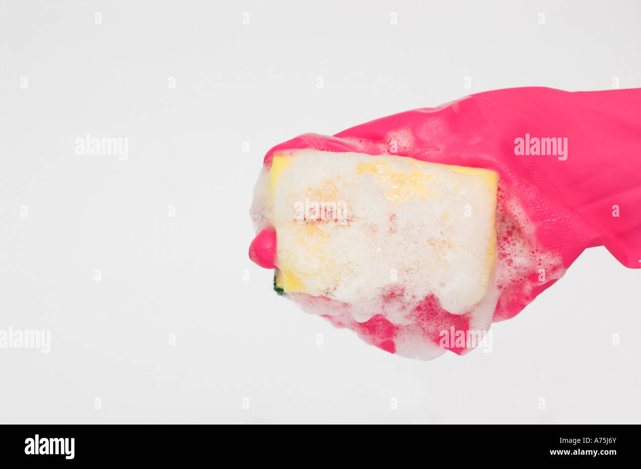 Hand Squeezing Soapy Sponge Stock Photo - Alamy