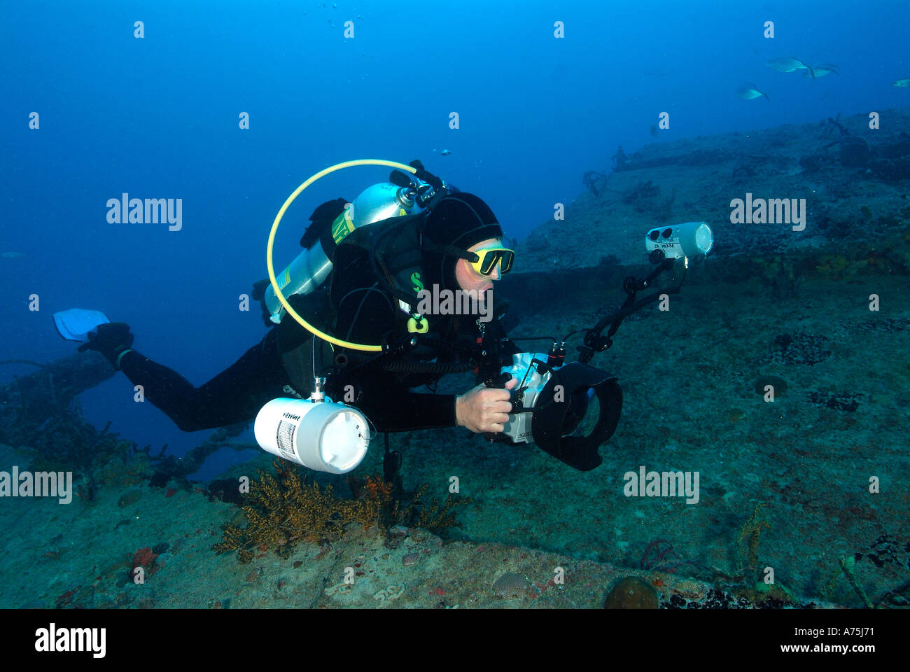 Eagle wreck florida hi-res stock photography and images - Alamy