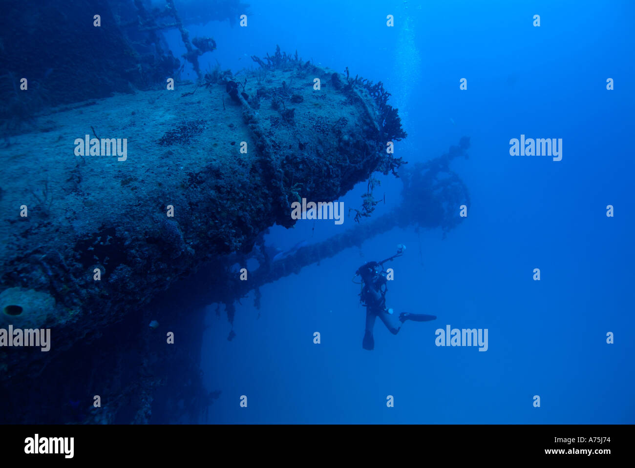 A photographer over the Eagle wreck Islamorada in Florida Stock Photo ...