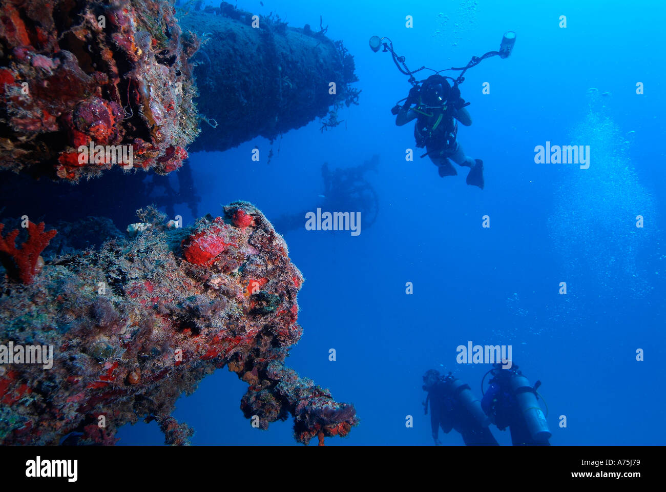 Islamorada florida keys national marine sanctuary hi-res stock ...