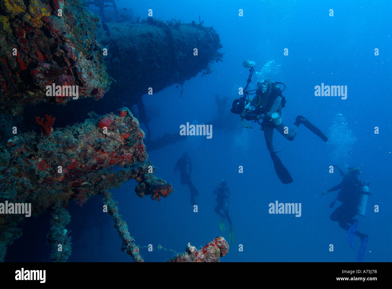 A photographer over the Eagle wreck Islamorada in Florida Stock Photo ...