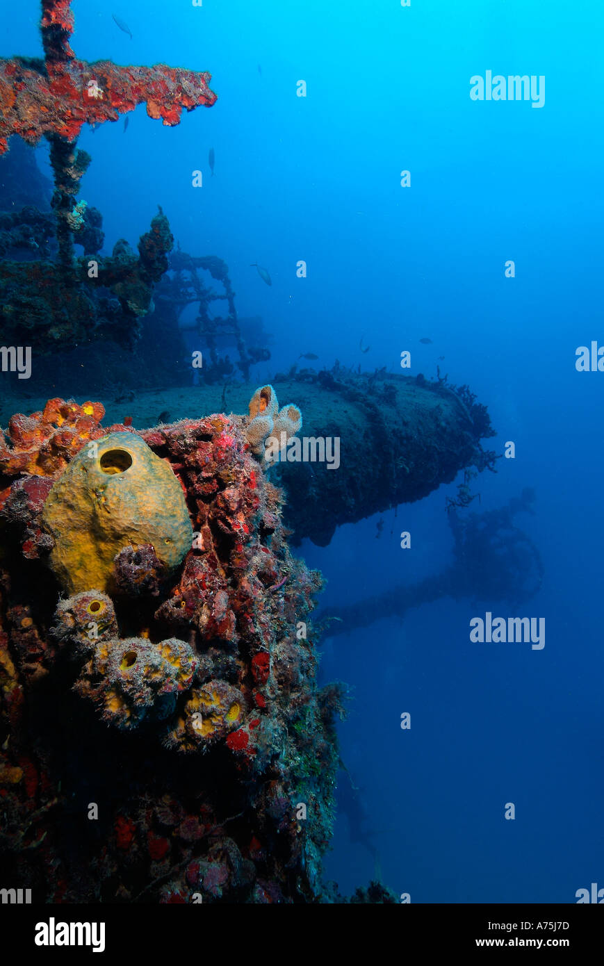 Wreck of the eagle hi-res stock photography and images - Alamy