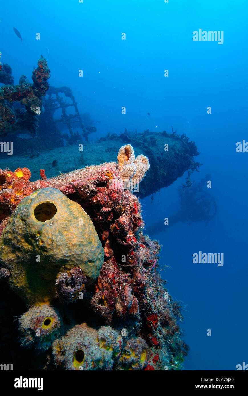The Eagle wreck Islamorada in Florida Stock Photo - Alamy