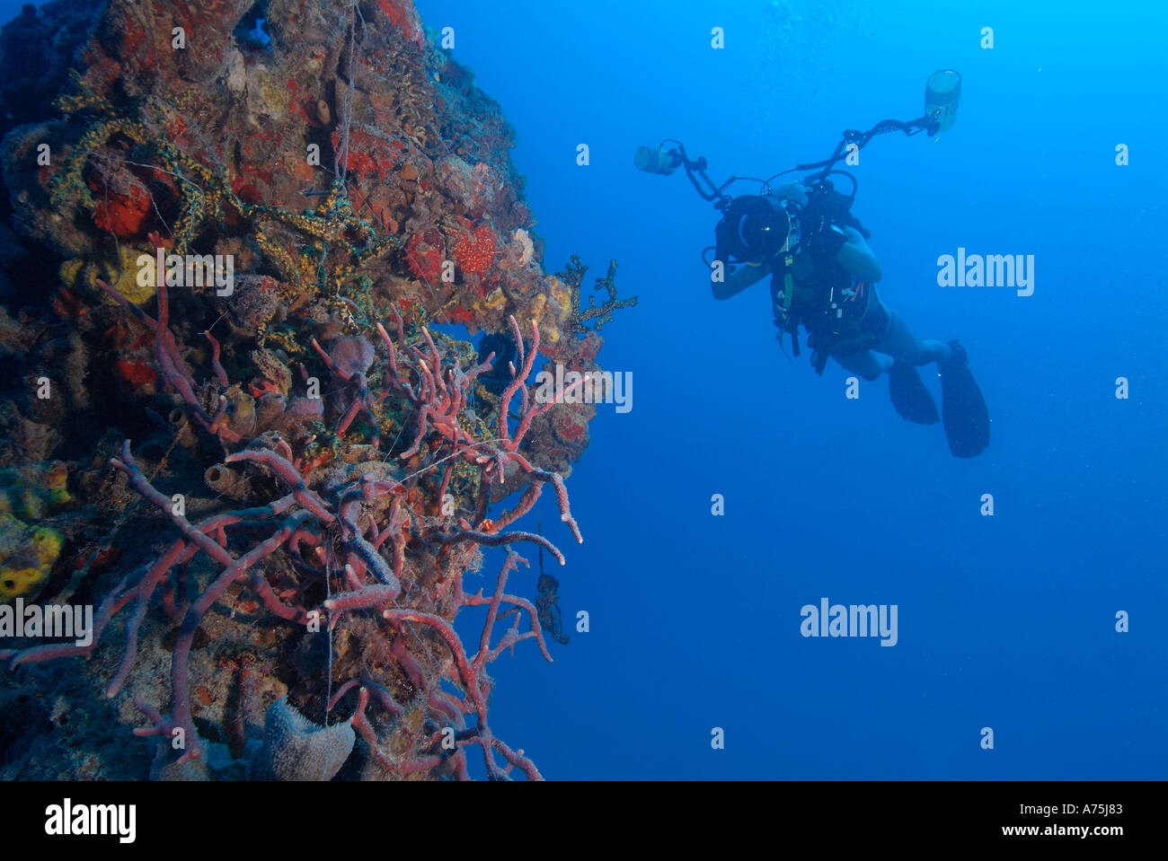 Eagle wreck florida hi-res stock photography and images - Alamy