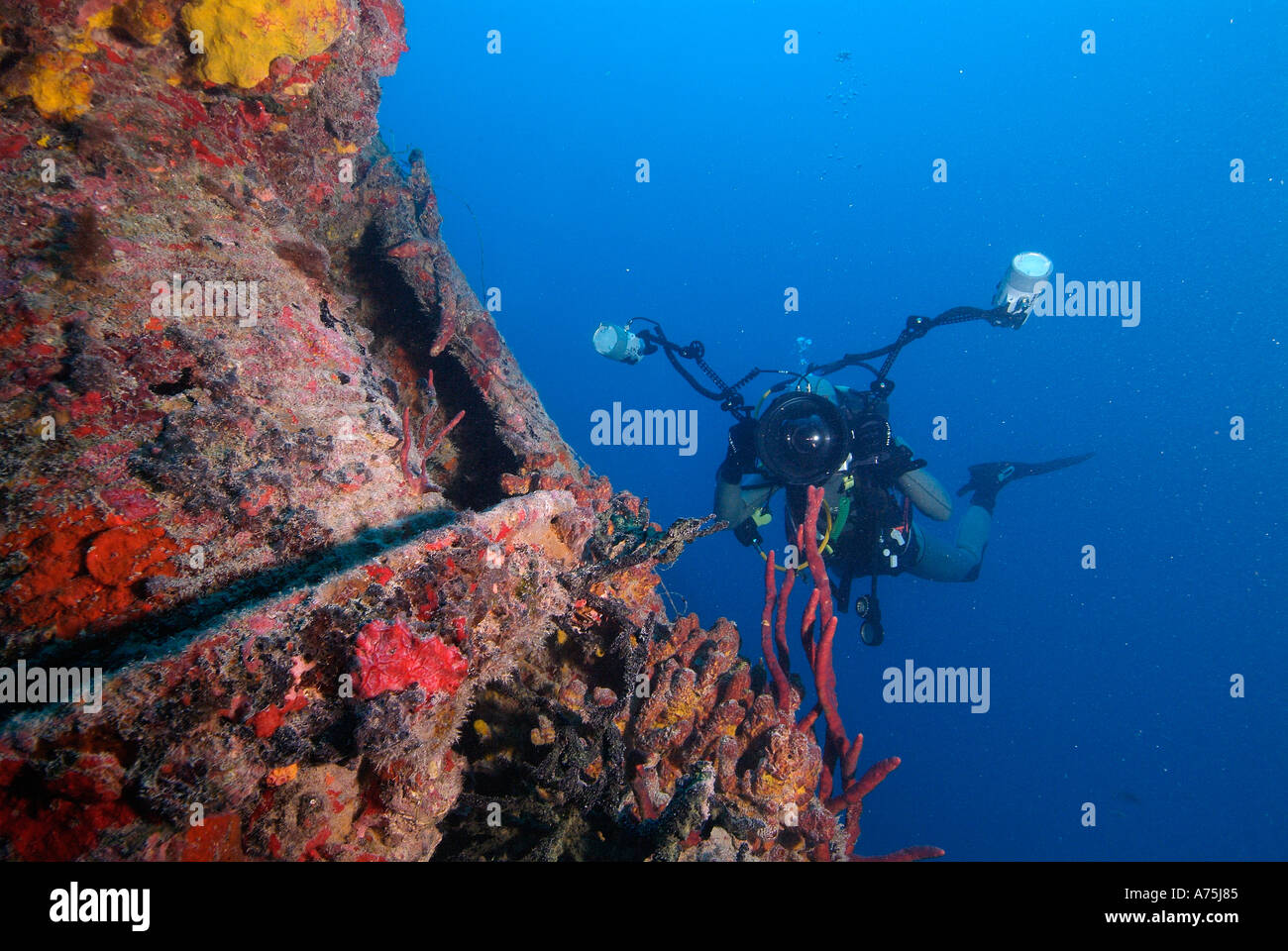 A photographer over the Eagle wreck Islamorada in Florida Stock Photo ...