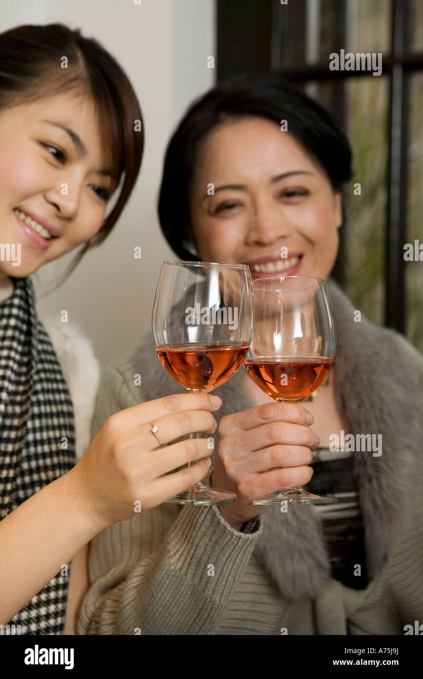 Women toasting each other with wine Stock Photo - Alamy