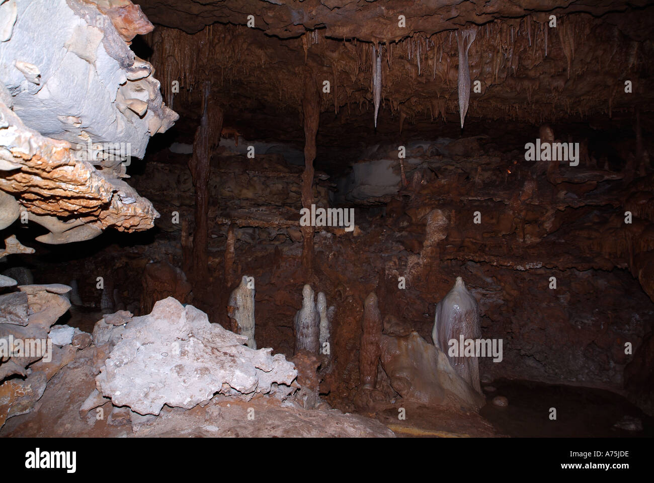 Cave in Austin Texas Stock Photo - Alamy